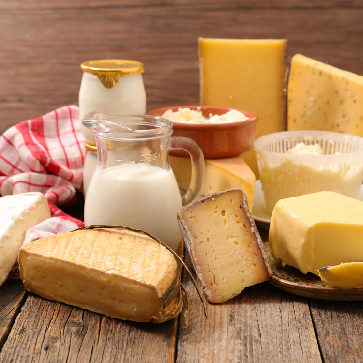 PRODUITS LAITIERS / Le lait et ses dérivés
